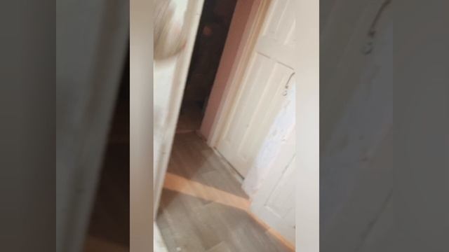 УЛЫБАЮЩИЙСЯ КОМНАТА. ЗАЯЦ РАЗГАДАЛА ЗАГАДКУ