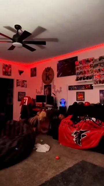 Смешные моменты.