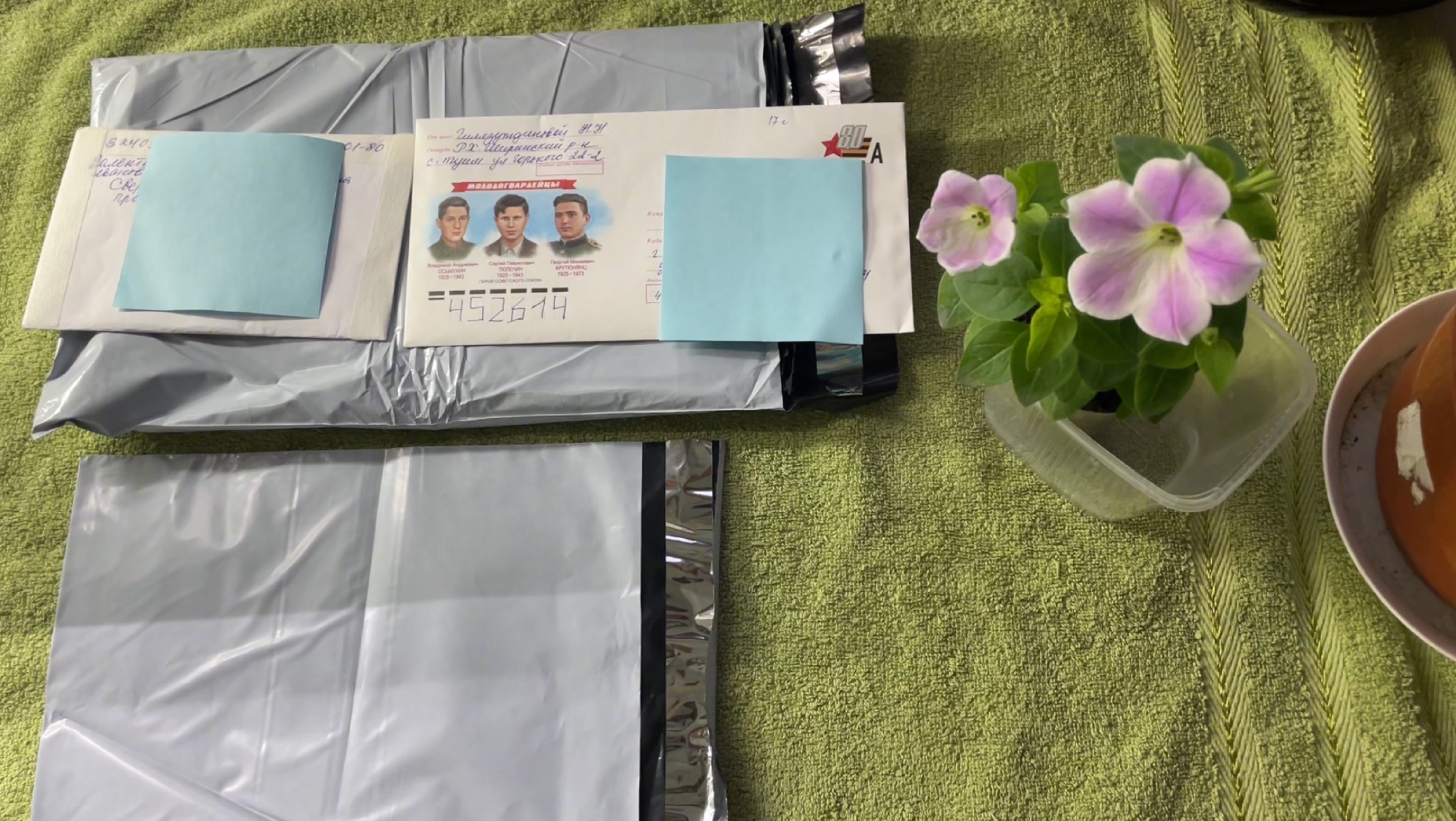 Пробую отправить заказ с семенами через Озон. Всхожесть томатов при тестировании. Препарат от мушек