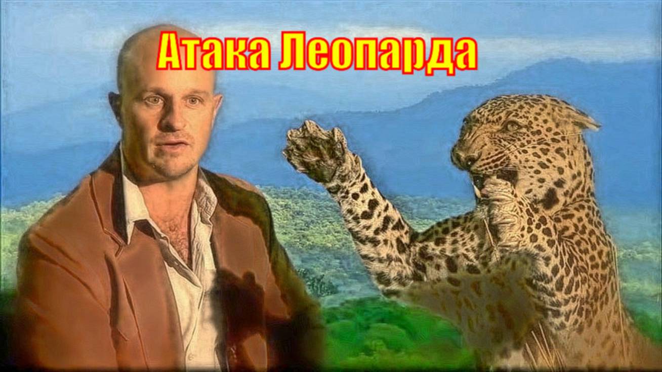 Атака Леопарда