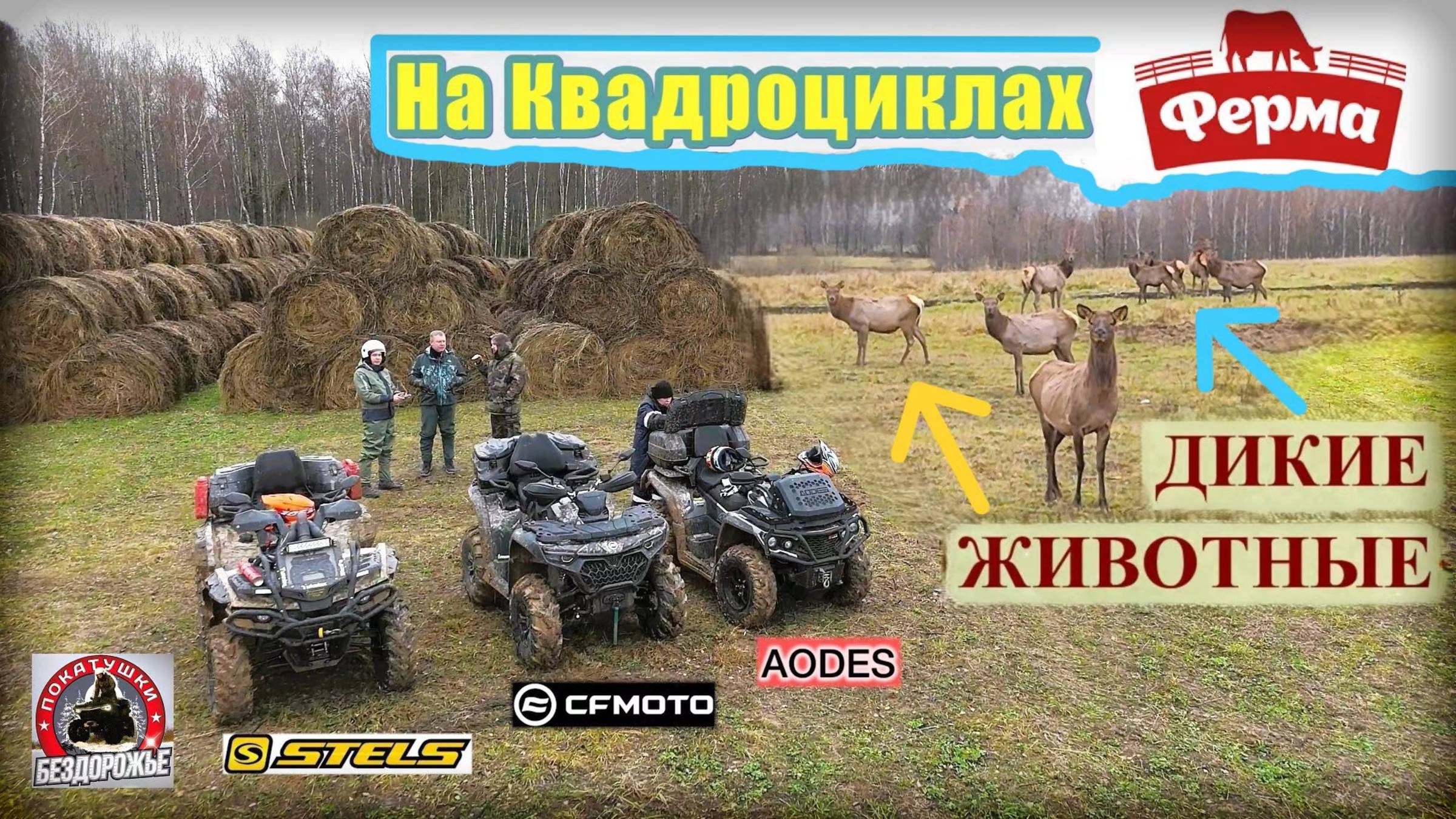 К ферме диких зверей на квадроциклах