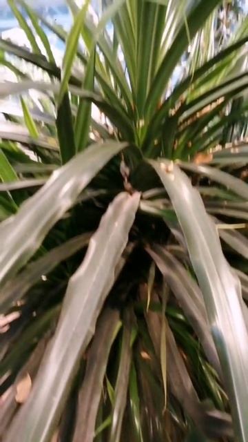 Ресурсные прогулки. Ноябрь 2025