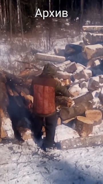 10 ноября 2022 г.