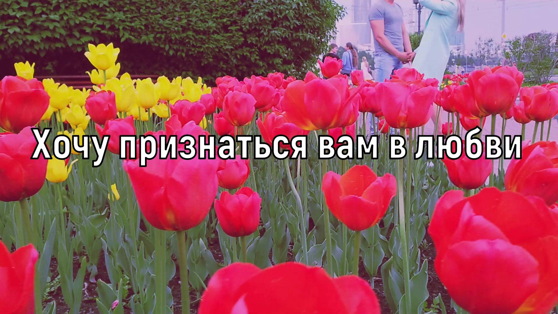 Хочу признаться вам в любви❤️. Музыкальные стихи