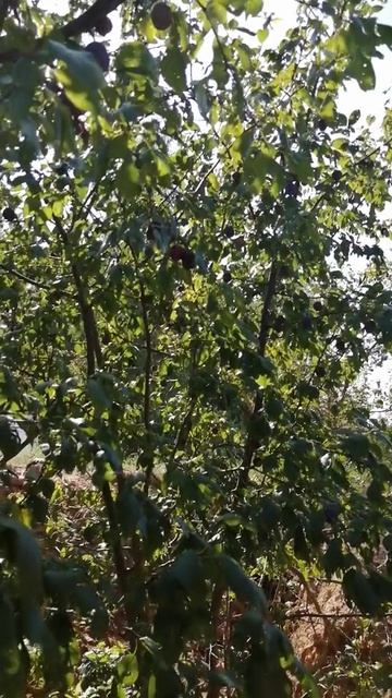 Ресурсные прогулки. Август 2024