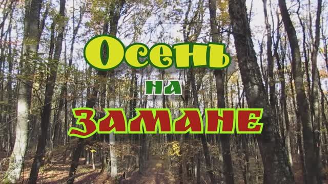 Осень на горе Замана... Горный Крым... 30.10.2025