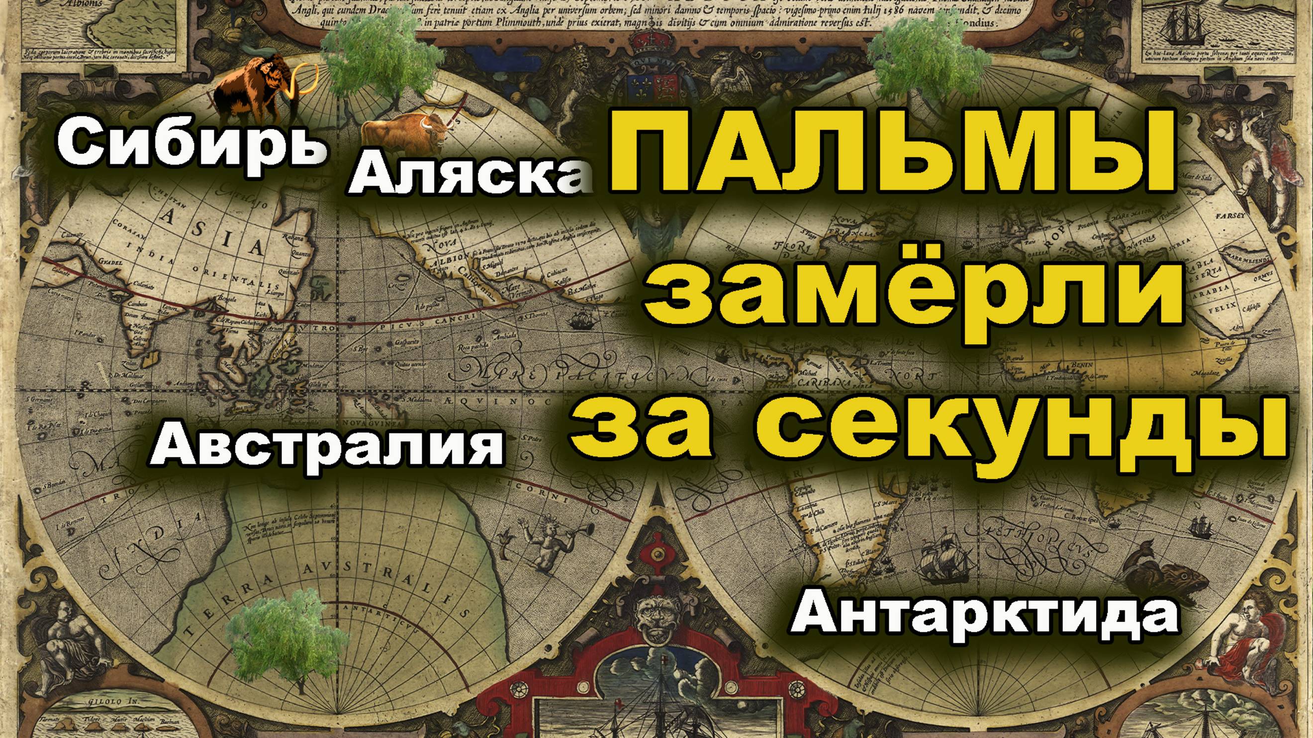 Сибирь. Аляска. Пальмы замёрзли за секунды