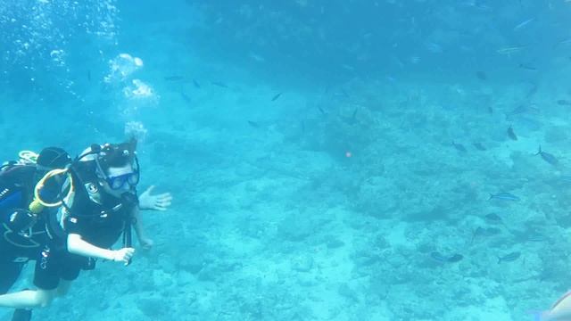 красоты подводного мира