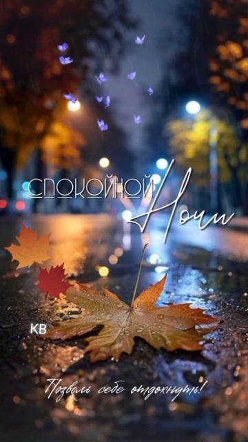 #спокойнойночи #shortvideo #shorts #short #рутуб #рек #топ #видео