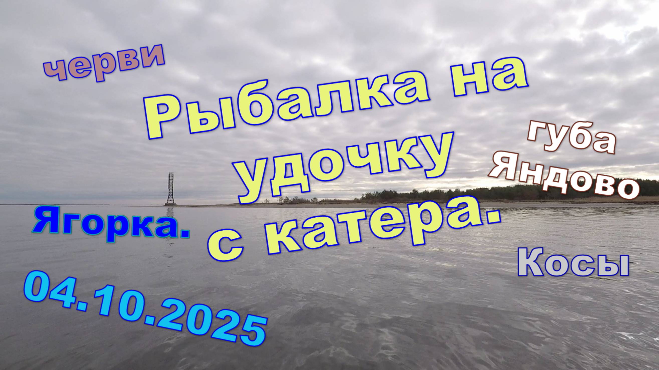 Рыбалка на удочку с катера на Северной Двине. 4.10.2025. В прилове: камбалка, корюшка, наважка.