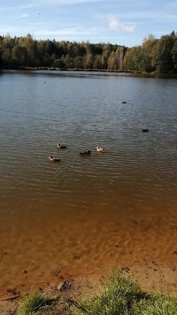 Ресурсные прогулки. Октябрь 2024