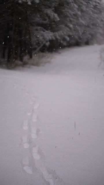 Какие христианские символы таит в себе это произведение и что стоит за ними?