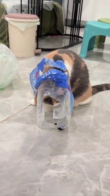 Изображение товара на упаковке может отличаться от оригинала 😁😁😁