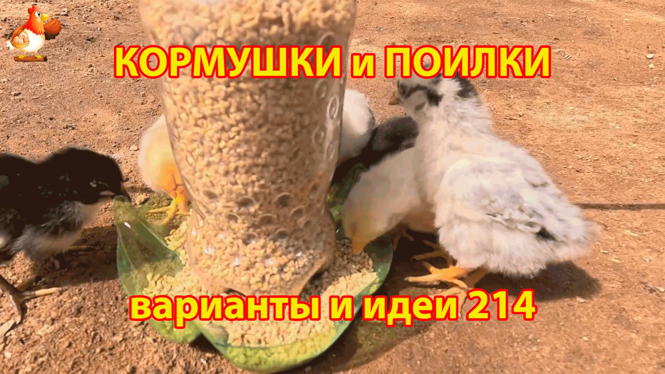 Кормушки и поилки для кур своими руками (214) 🪚✂️ Пошаговая инструкция как сделать 🐔 🐓❣️