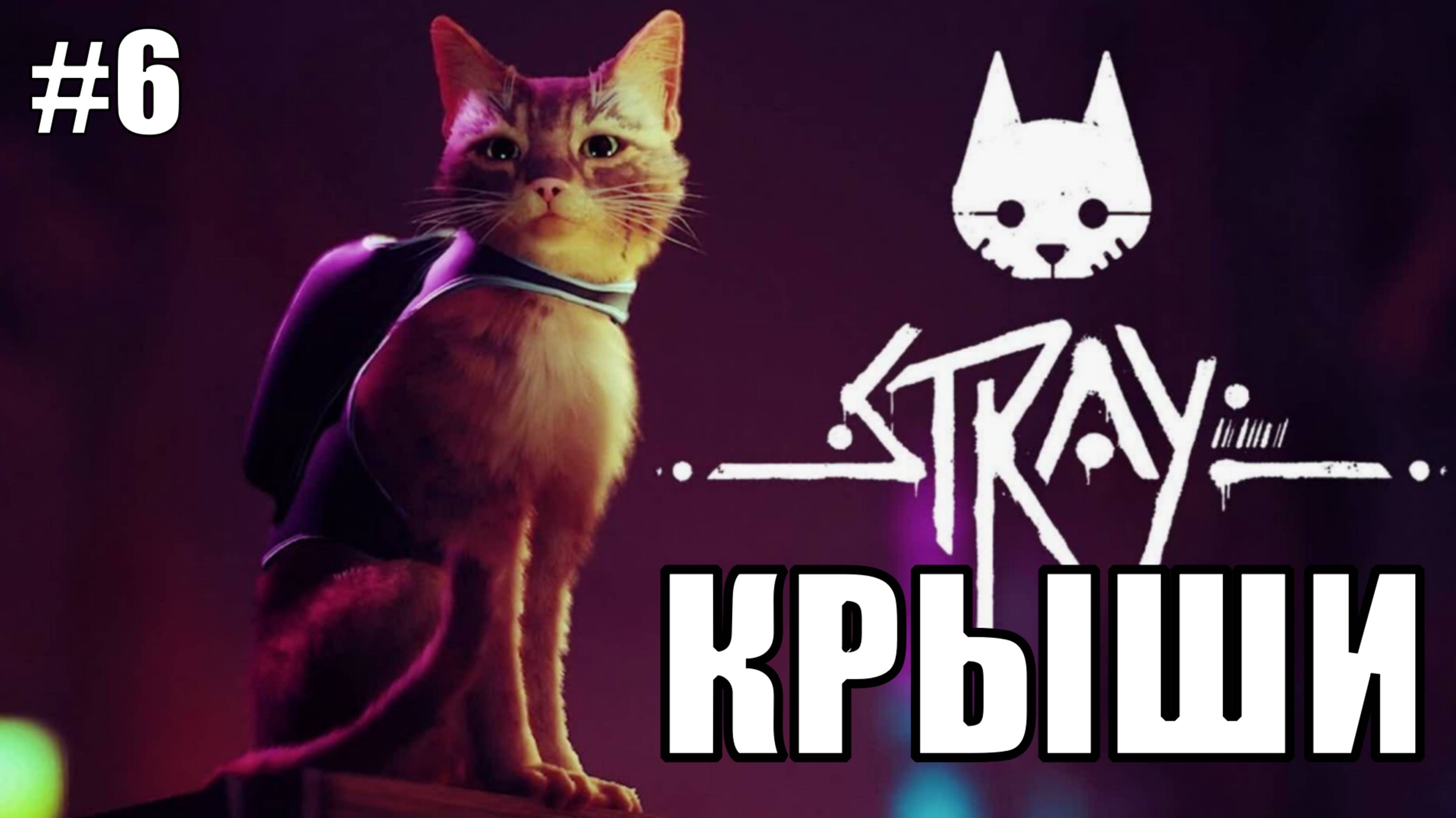 Stray Полное Прохождение на PS5 #6 Крыши #stray #ps5 #ps4 #sony #cats #animals #прохождение