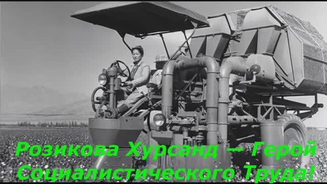 Ода хлопку (уборочная страда 70-х, хлопок гордость СССР)