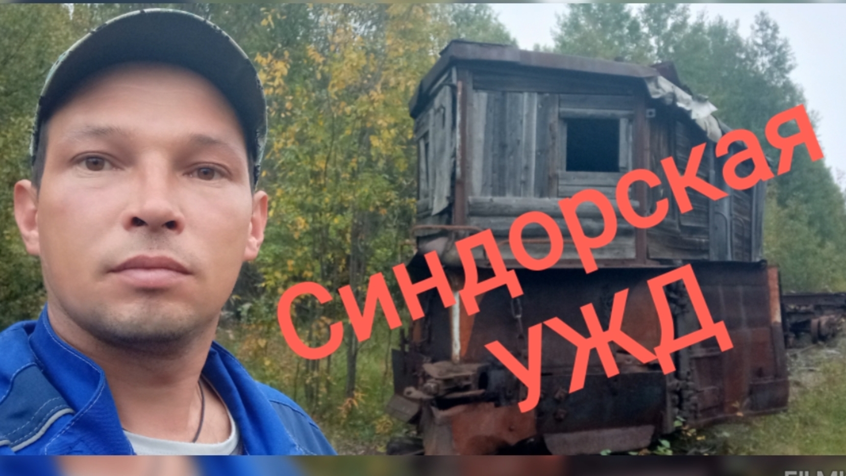 Синдорская узкоколейная железная дорога.