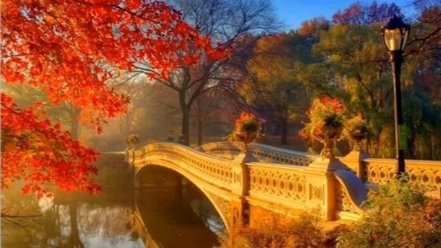 музыка для учëбы и расслабления