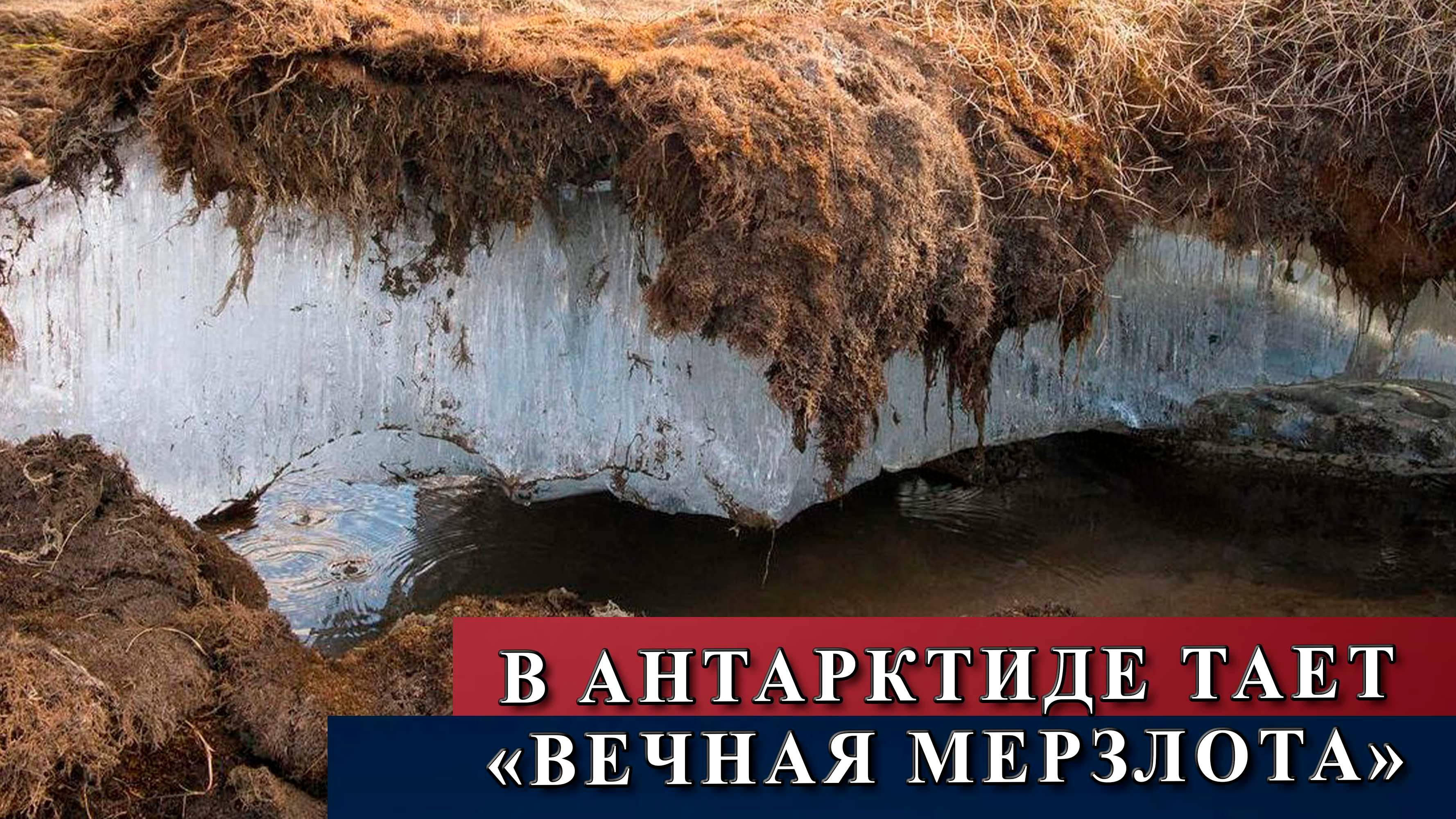 В Антарктиде тает «вечная мерзлота».