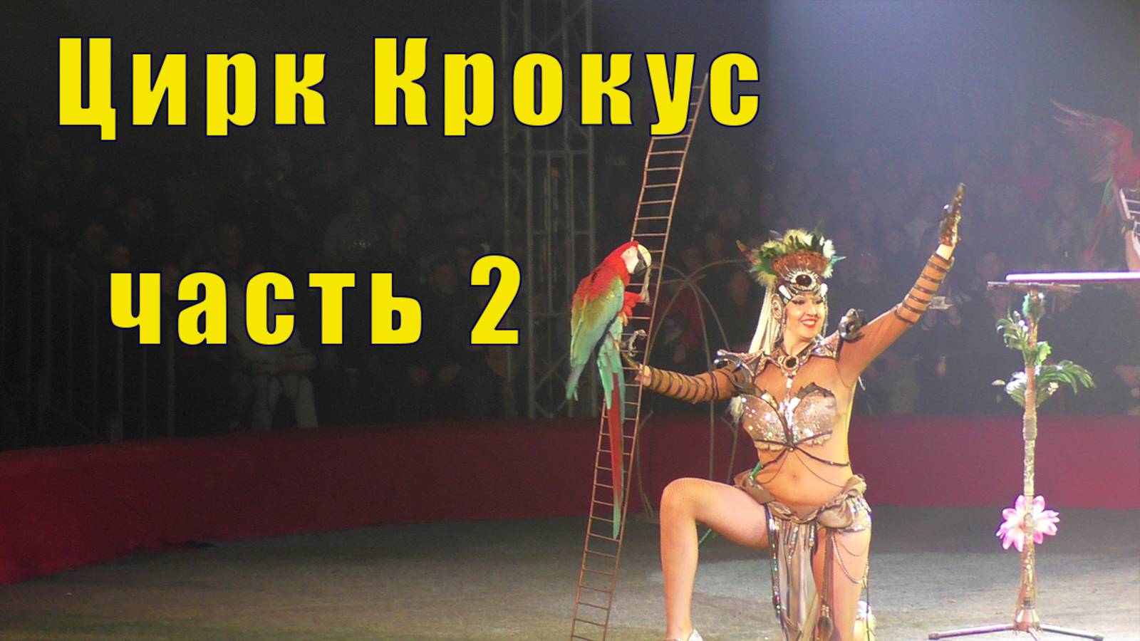 ЦИРК КРОКУС МУРМАНСК - ПРОДОЛЖЕНИЕ /01 ноября 2025