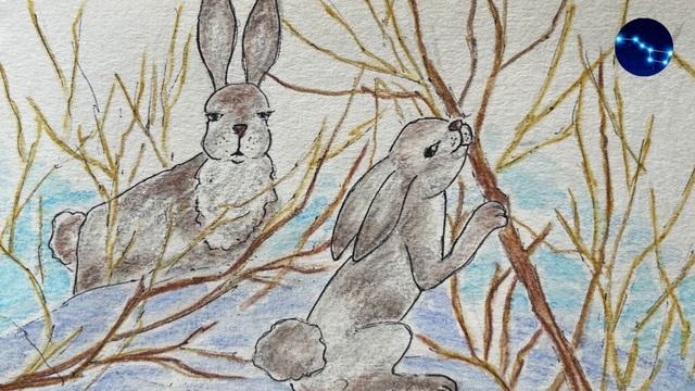 Зайцы и Лягушки / Как зайцы топиться пошли / Л. Толстой / ДЕТЯМ о животных