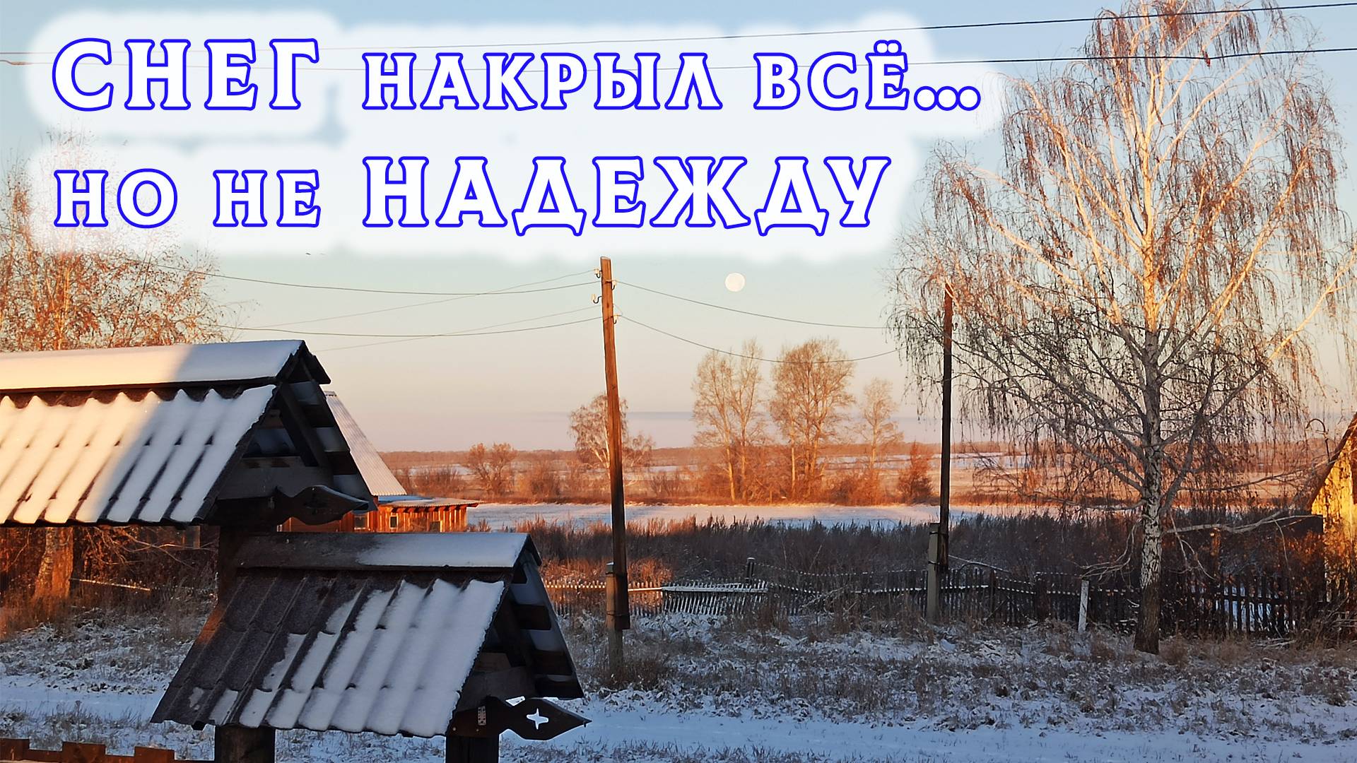5 минут настоящей тишины: первый снег, домашние цветы и песня, от которой мурашки❄️🌼🙏🏻❤️