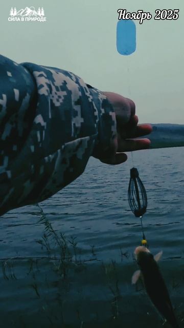 Рыбалка в ноябре Осень 2025