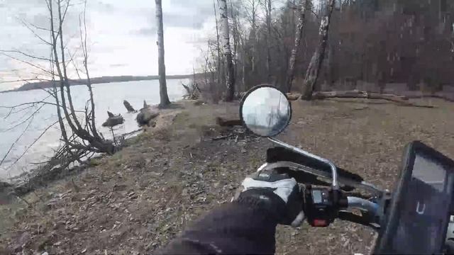 Катаюсь в лесу 4