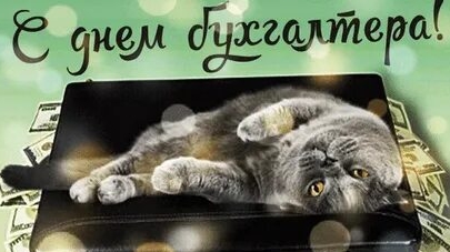 С днём бухгалтера. Музыкальная открытка.