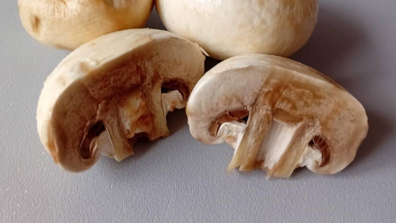 САЛАТ с капустой и шампиньонами рецепт