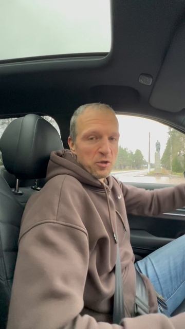 Потолок Chery tiggo 9.