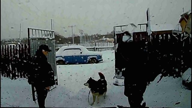 Танцы с Бумером