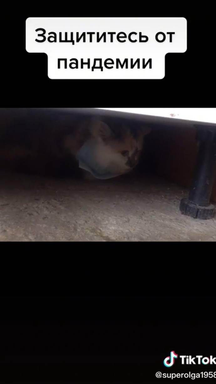 Защитись от Корона Вирусса