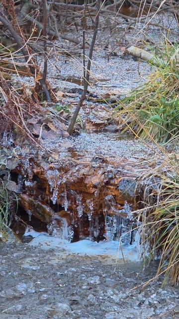 Прогулка на гору Гладкая. Сысертская сотня