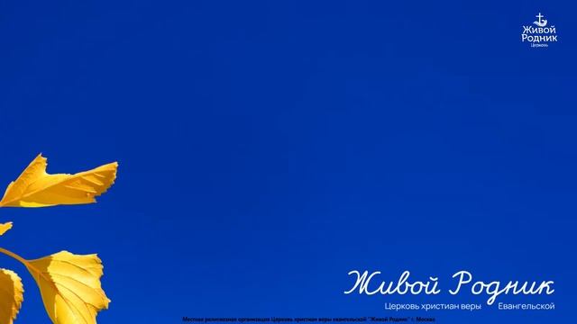 Здесь на земле где ты пока живёшь