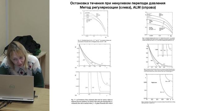 Муравлева Л.В. - Механика неньютоновских жидкостей - 6. Вязкопластичные жидкости - 2