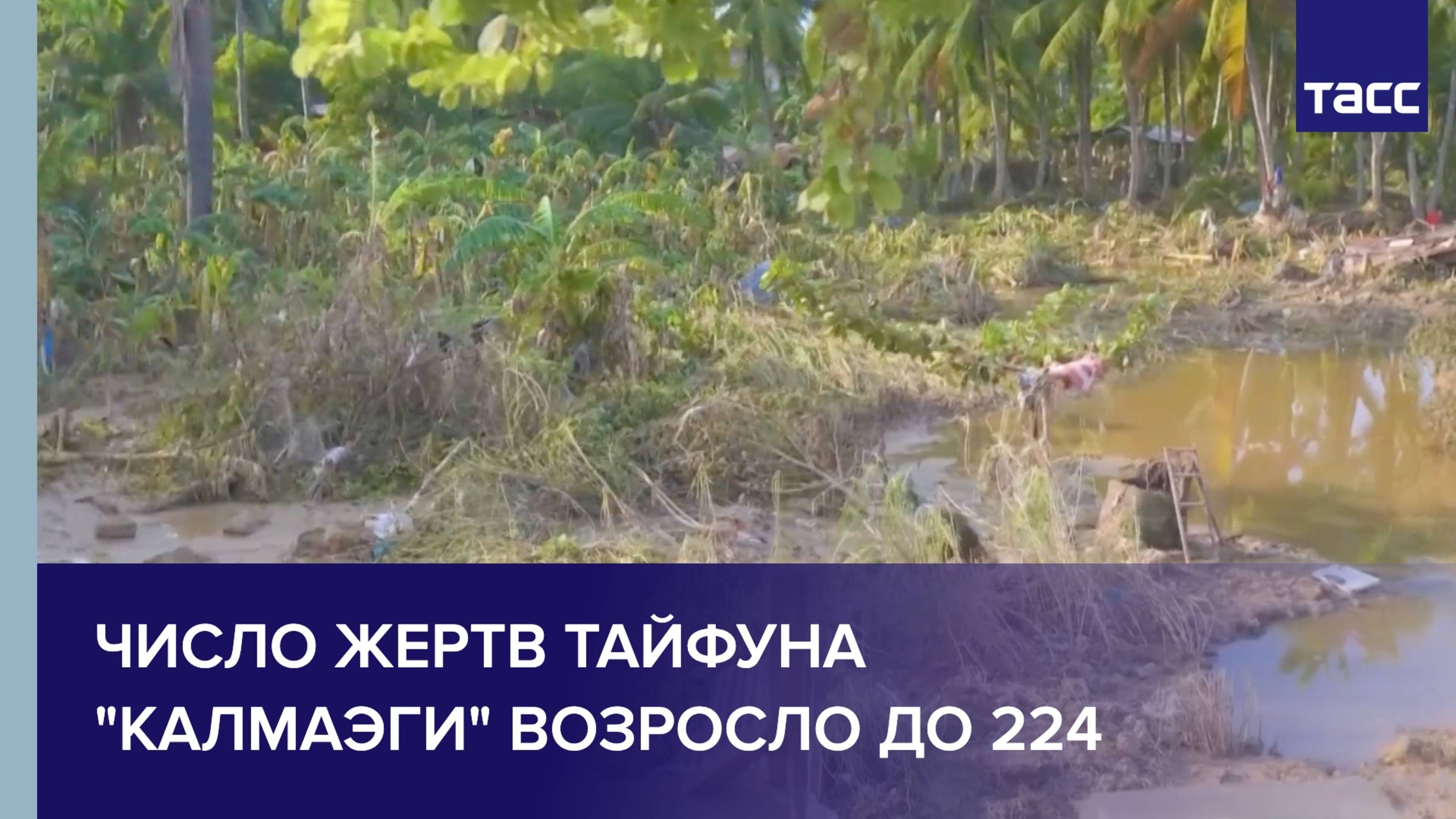 Число погибших из-за тайфуна "Калмаэги" на Филиппинах увеличилось до 224