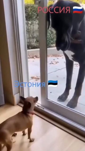 Правда жизни