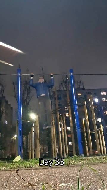 Тренировочная практика. День 36