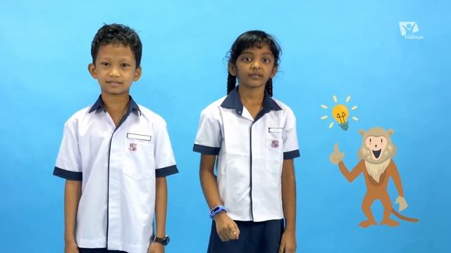 Творение учит нас | Макаки