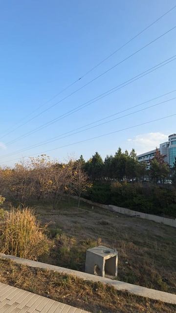 Прогулка по Нафталану, Азербайджан