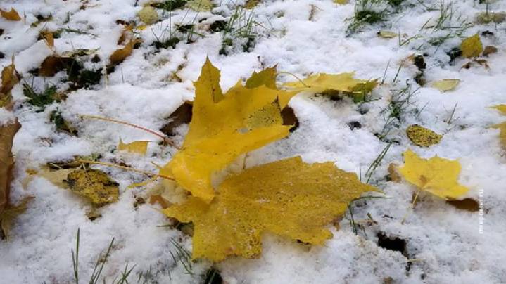 Тишковец: временный снежный покров может сформироваться в Москве на выходных