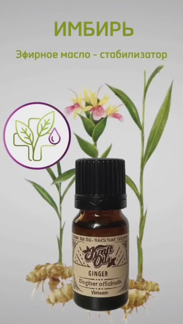 Имбирь - эфирное масло стабилизатор