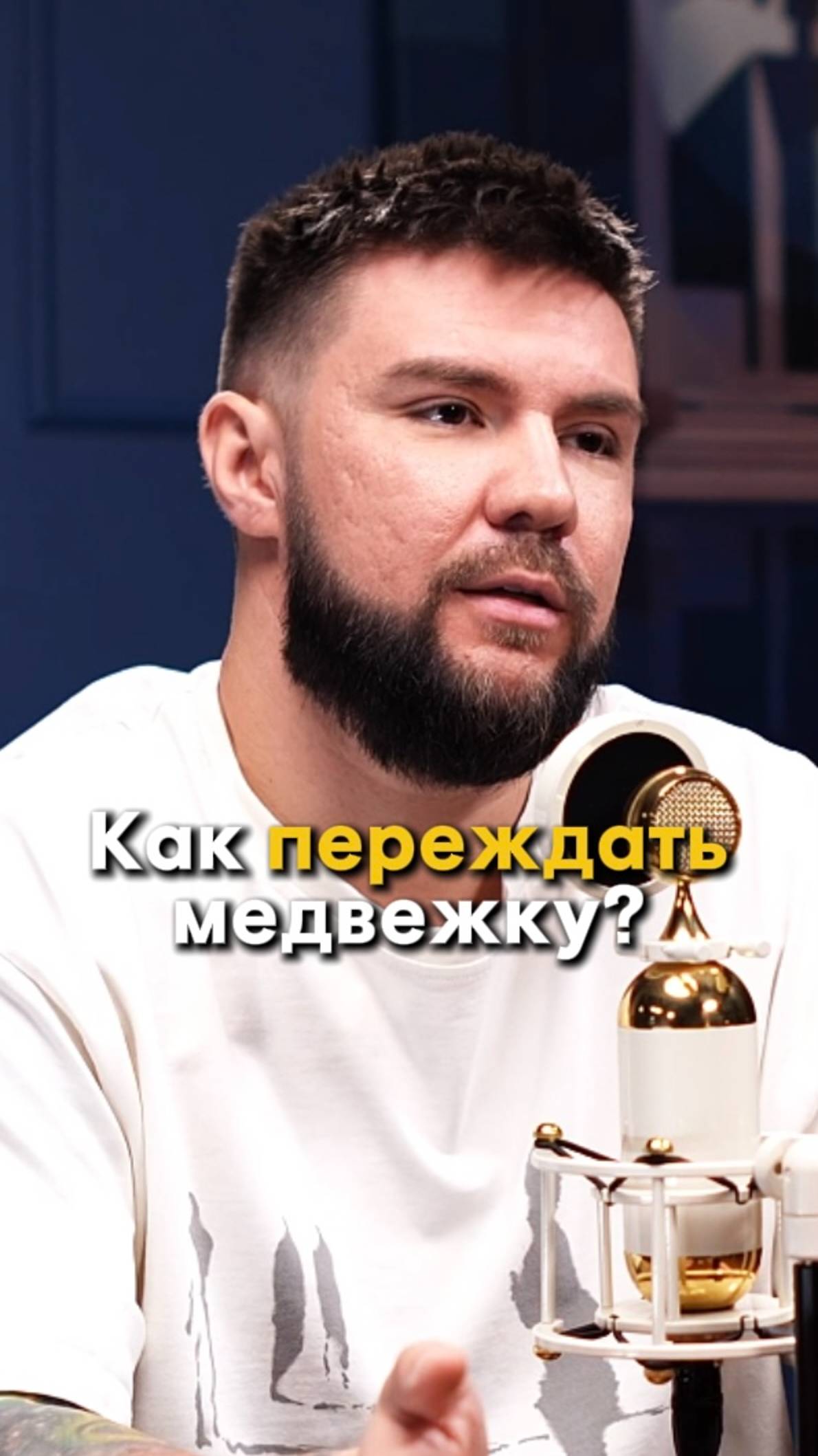 Как переждать медвежку?