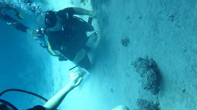 красоты морские