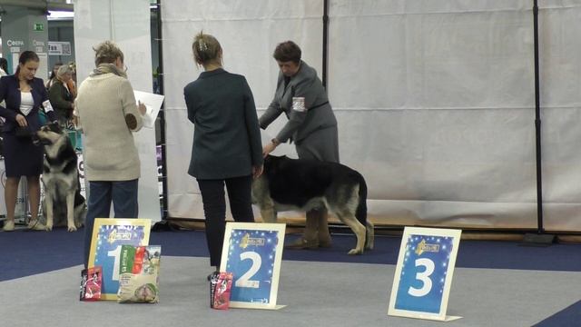 Вео Росс Ярополк