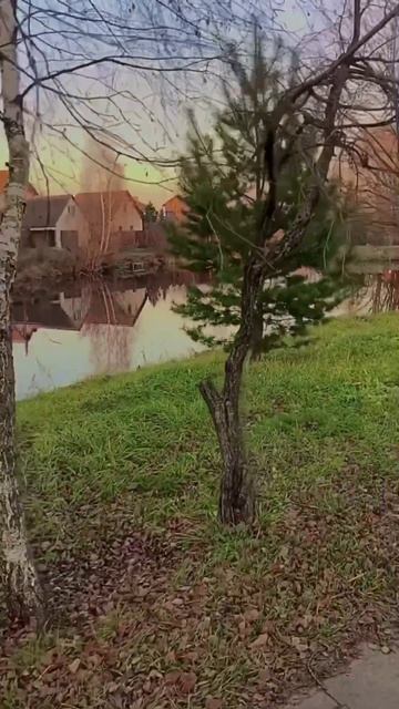 Вдоль пруда