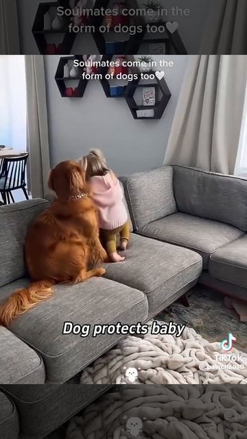 Наша надежда и опора