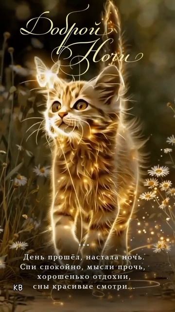 #мысли #цитаты #katyboro #реки #умныемысли #shorts #ai #aivideo #мыслиожизни