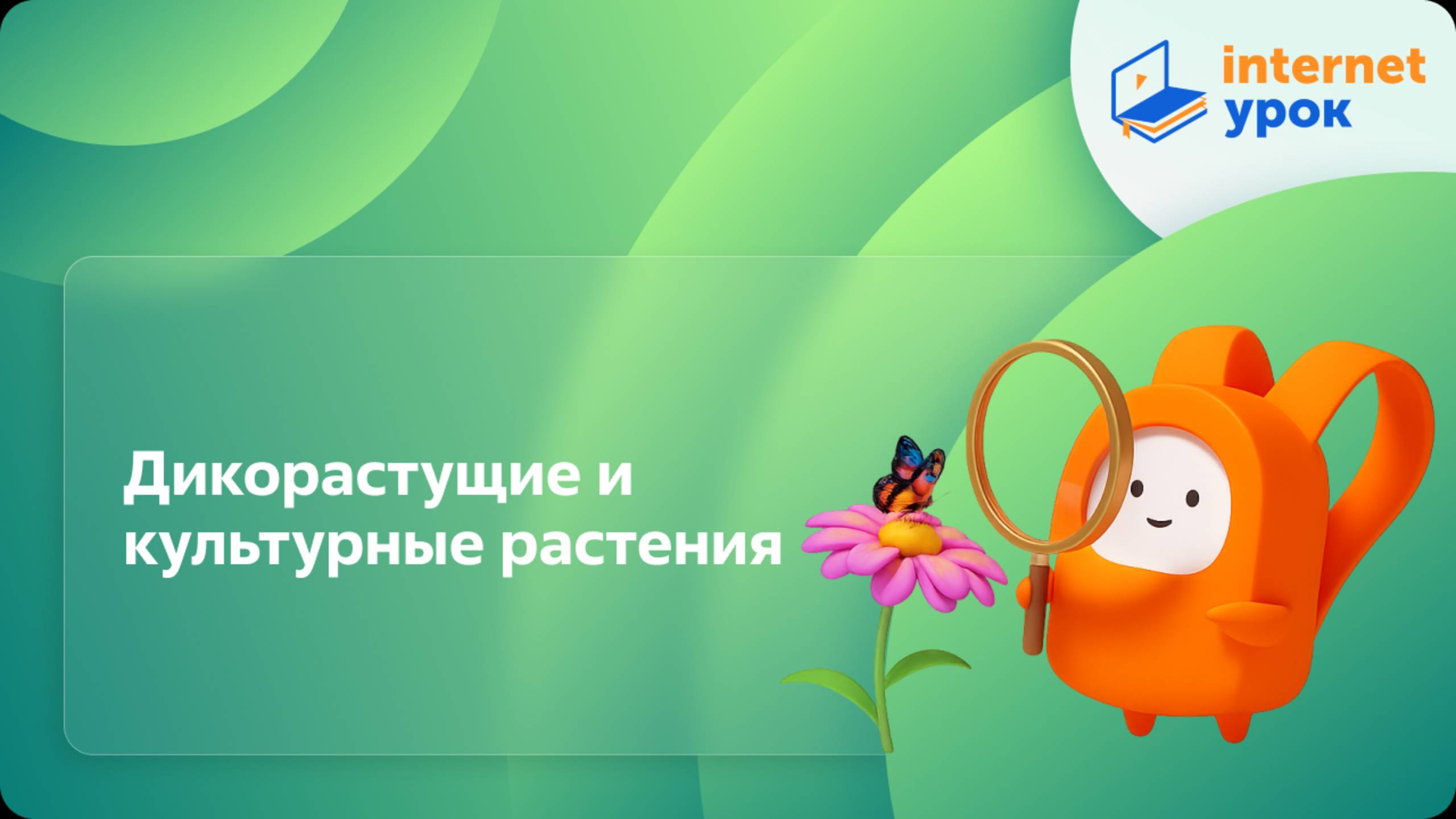 Окружающий мир 2 класс. Дикорастущие и культурные растения